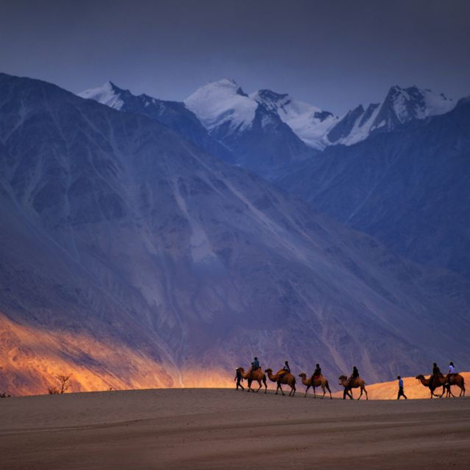 Nubra Valley | Multi Destinations